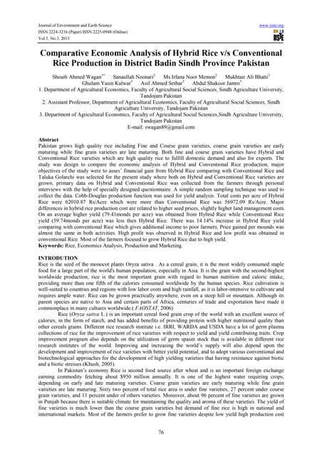 Full synopsis on rice in agriculture | DOCX