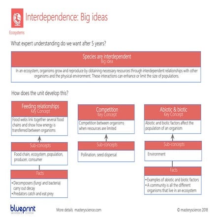Blueprint Year 7 Interdependence unit planner | PPTX