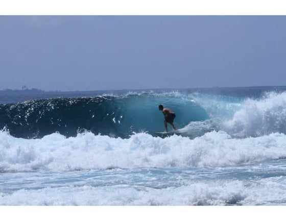 Bill Malloy Venture Capital Surf 24 | PDF
