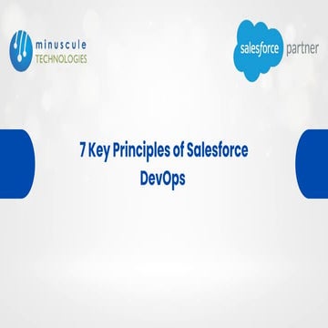 7 Key Principles of Salesforce DevOps.pdf