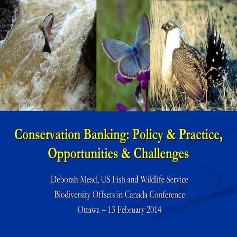 Conservation Banking: Policy & Practice, Opportunities & Challenges | PDF