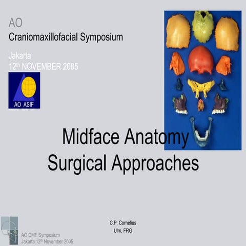 midface anatomy surgical approaches AO craniomaxillofacial symposium | PDF