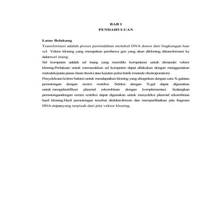 7n8 | PDF