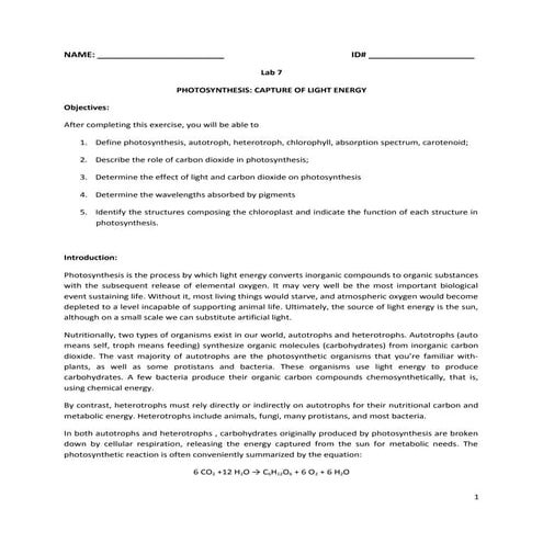 Vernier Photosynthesis Lab #7 | PDF