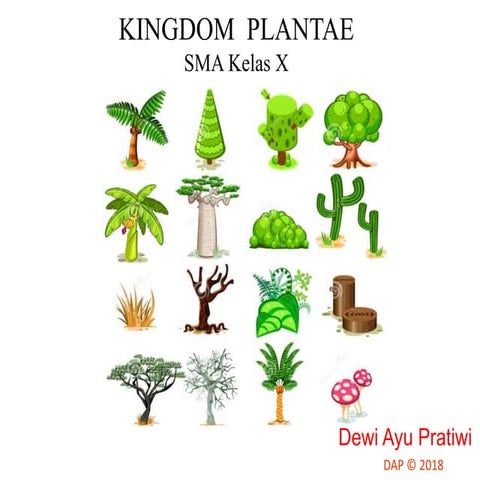 Kingdom Plantae | PPTX