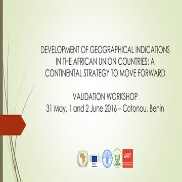 policy framework | PPT