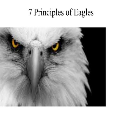 7 Priniples of Eagles.ppt