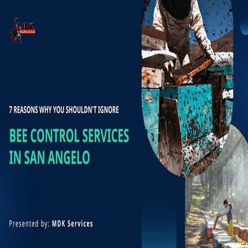 7 Reasons Why You Shouldn't Ignore Bee Control Services in San Angelo | PPT