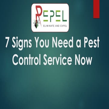 7 Signs You Need a Pest Control Service Now | PPT