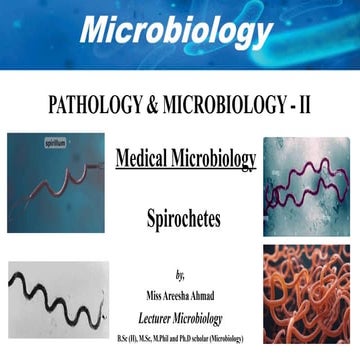DPT - Microbiology II (Spirochetes) - Treponemes | PPT