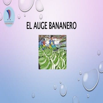 El auge bananero | PPTX