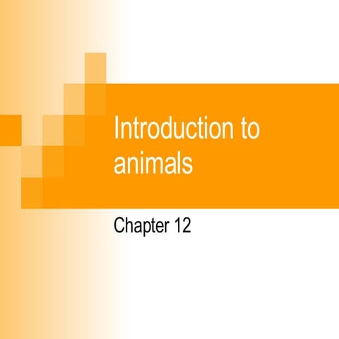 Chapter 12-Intro to animals | PPT