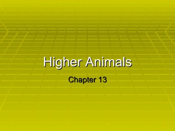 6th Grade Chapter 6 | PPT