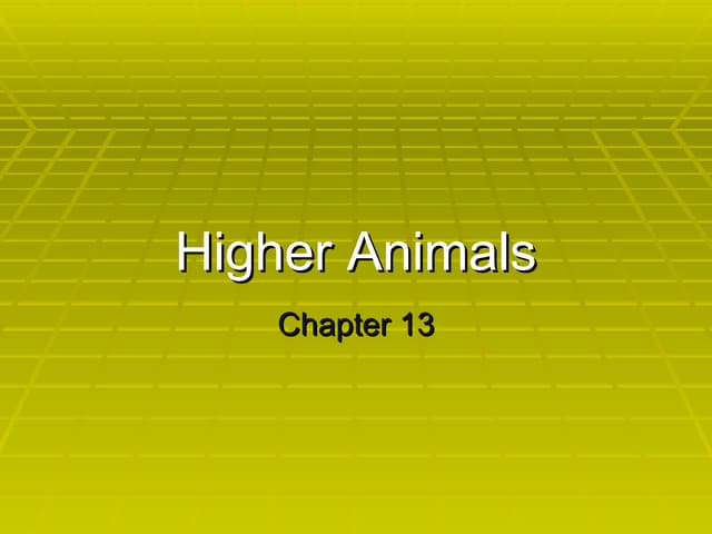 6th Grade Chapter 6 | PPT