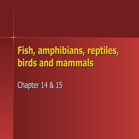 Chapter 14 & 15- fish, anphibians, reptiles, birds, mammals | PPT ...