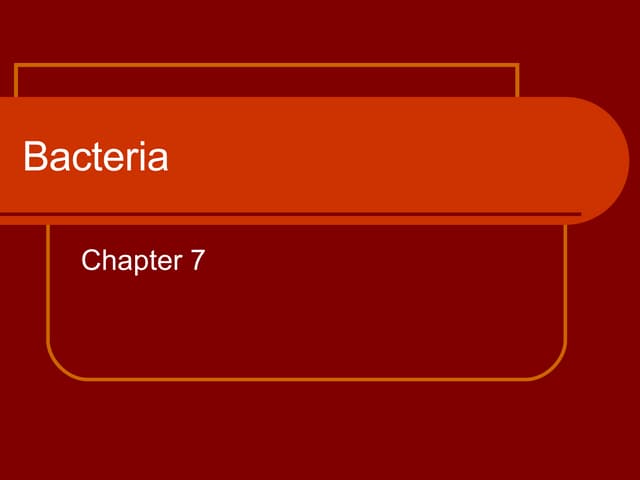Bacteria | PPTX
