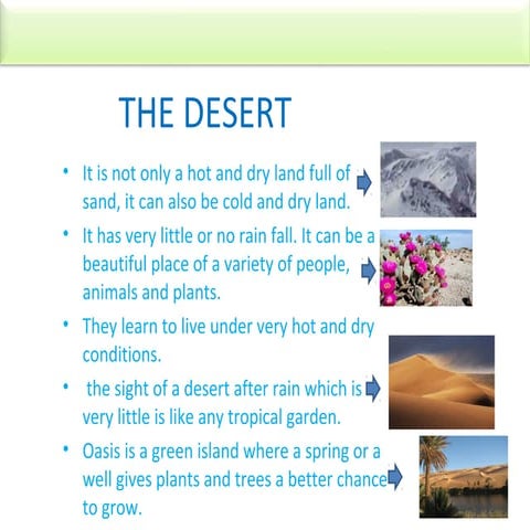 7_The Desert | PPT