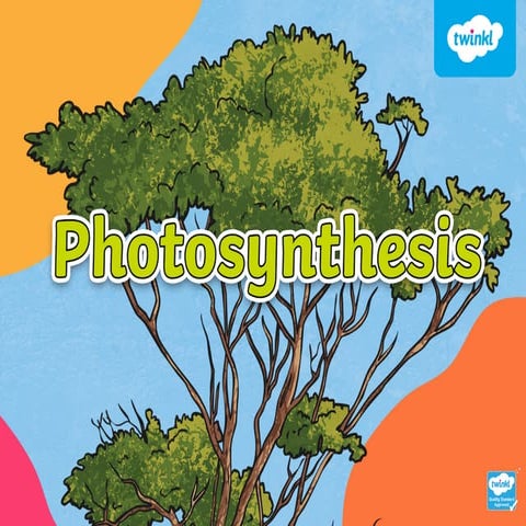8th Grade Science: Photosynthesis Slides | PDF