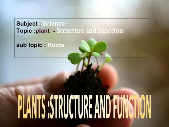 PROPAGATION BY SPECIALIZED VEGETATIVE STRUCTURE.pptx