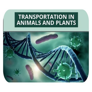 7th Science transportation in heart.pptx