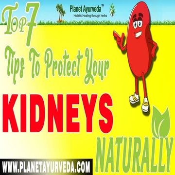 TOP 7 Tips to Protect Your Kidneys and Keep Them Healthy | PPT