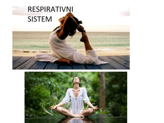 Pluca biologija | PDF