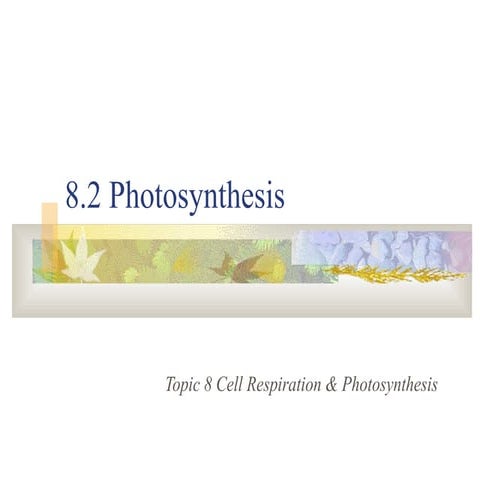 8.2 photosynthesis | PPT | Chemistry | Science
