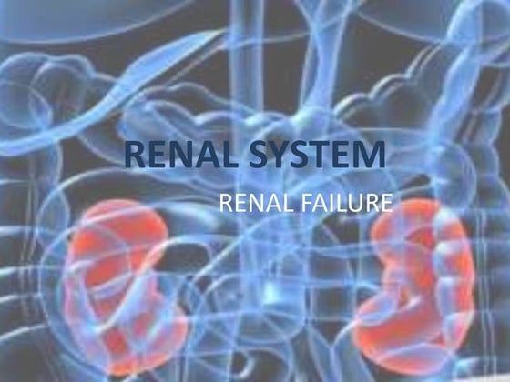 Acute and chronic renal failure | PPT