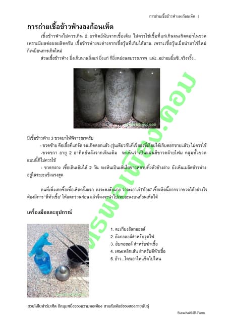 CompTIA Cloud+ ce certificate | PDF | Internet Safety | Parenting