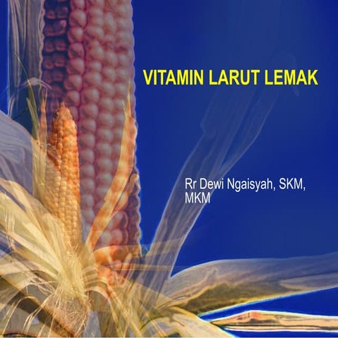 vitamin larut lemak | PPT