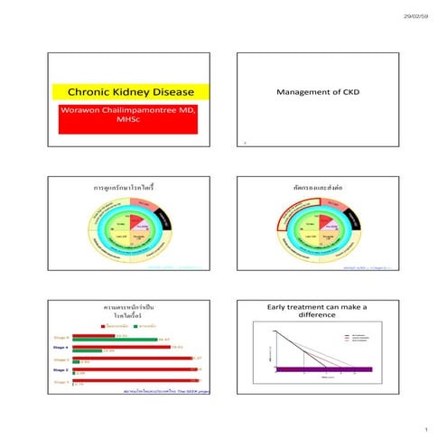 โรคไตเรื้อรัง Chronic Kidney Disease | PDF