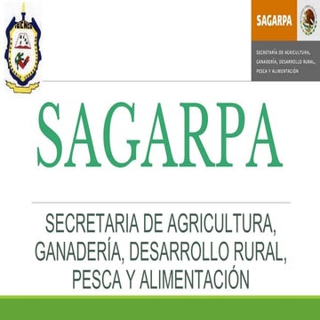 8. SAGARPA | PPTX