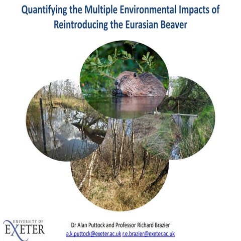 8. CaBA Conference 2017 Eurasian Beaver - Alan Puttock | PPTX | Fish ...