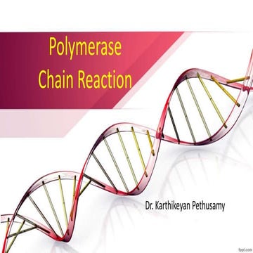 Polymerase Chain Reaction | PPT