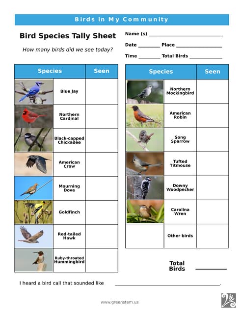 Short name Bird Species Tally Sheet for student for Birds in My ...