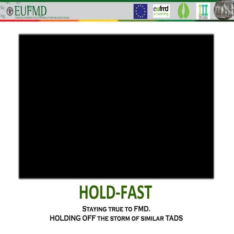 GS43_8. Hold-FAST. strategy | PDF