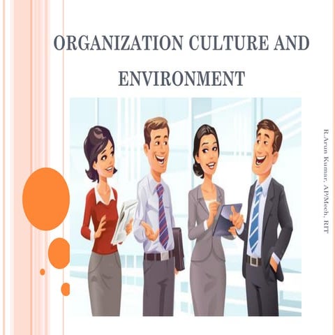 Organization culture and environment | PDF