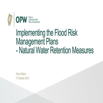 8. Implementing the Flood Risk Management Plans - Natural Water ...