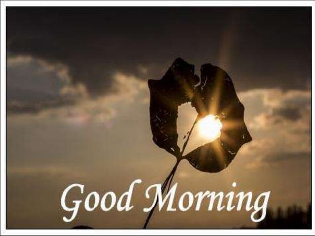 Endodontic files | PPTX