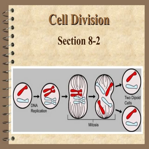 Cell Division for high school, use this presentation to show your ...