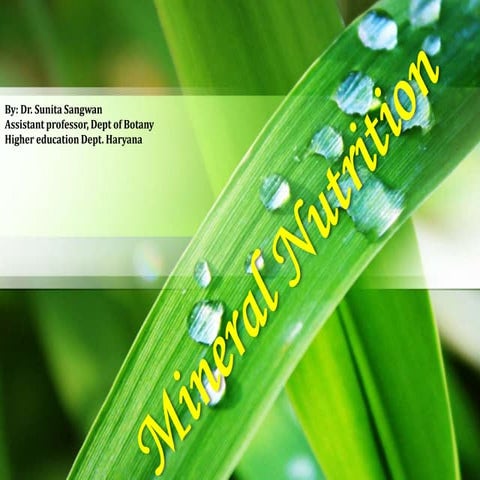 Mineral nutrition | PPT