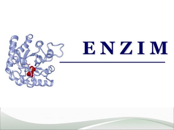 MATERI ENZIM - Biologi Kurikulum Indonesia | PDF