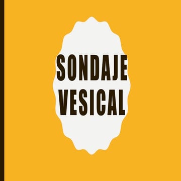 Comprehensive Guide to Vesical Catheterization: Procedure, Indications ...