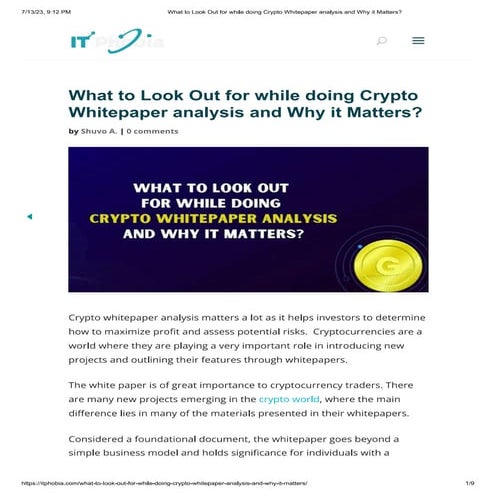 What to Look Out for while doing Crypto Whitepaper analysis and Why it Matters? | PDF