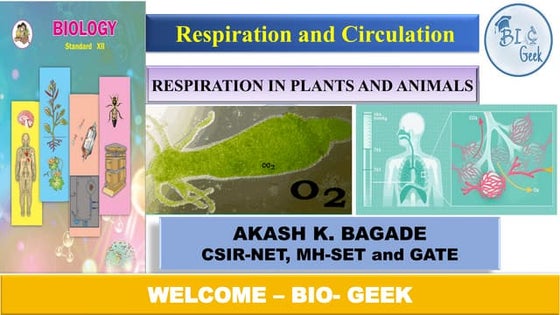 Respiratory system of Cockroach.pptx