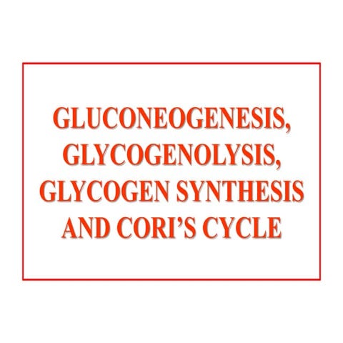 8. Gluconeogenesis, Glycogenosis glycogen synthesis and cori cycle ...