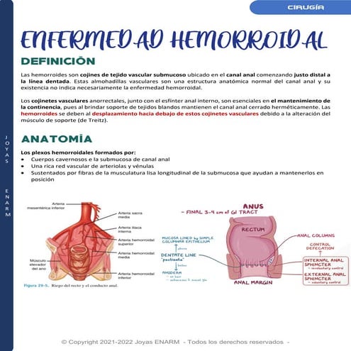 8. Enfermedad Hemorroidal.pdf