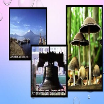 8.-Normal-Random-Variable-1-statistics.pptx | Physics | Science