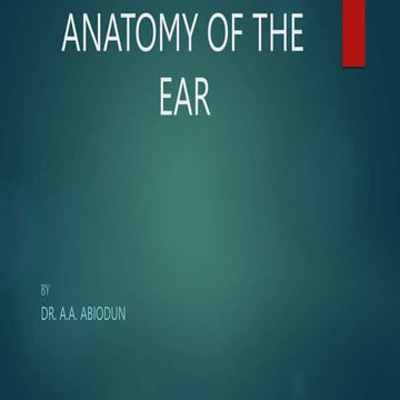 ANATOMY OF THE HUMAN EAR & Related (2024).pptx