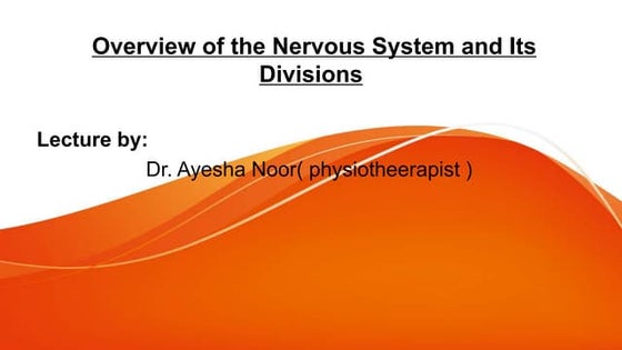 Introduction to the nervous system | PPT